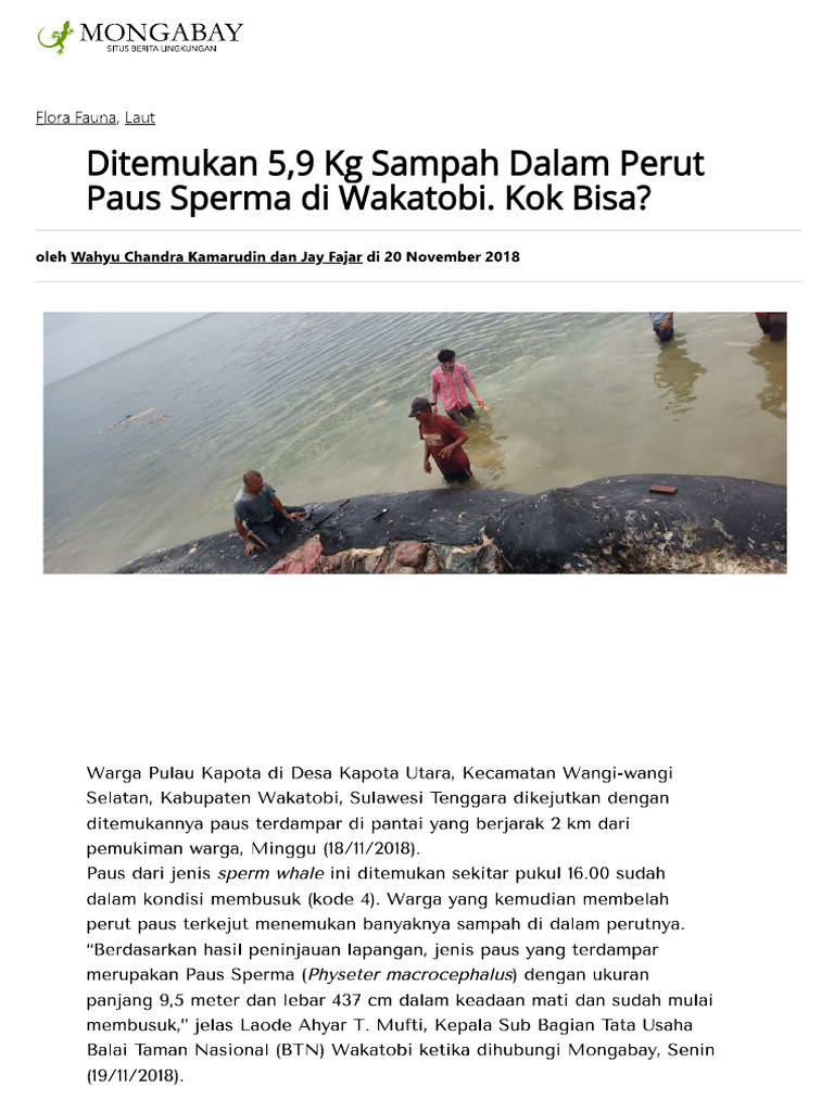 KELOMPOK 3 Sampah Plastik Di Dalam Perut Paus Wakatobi | PDF