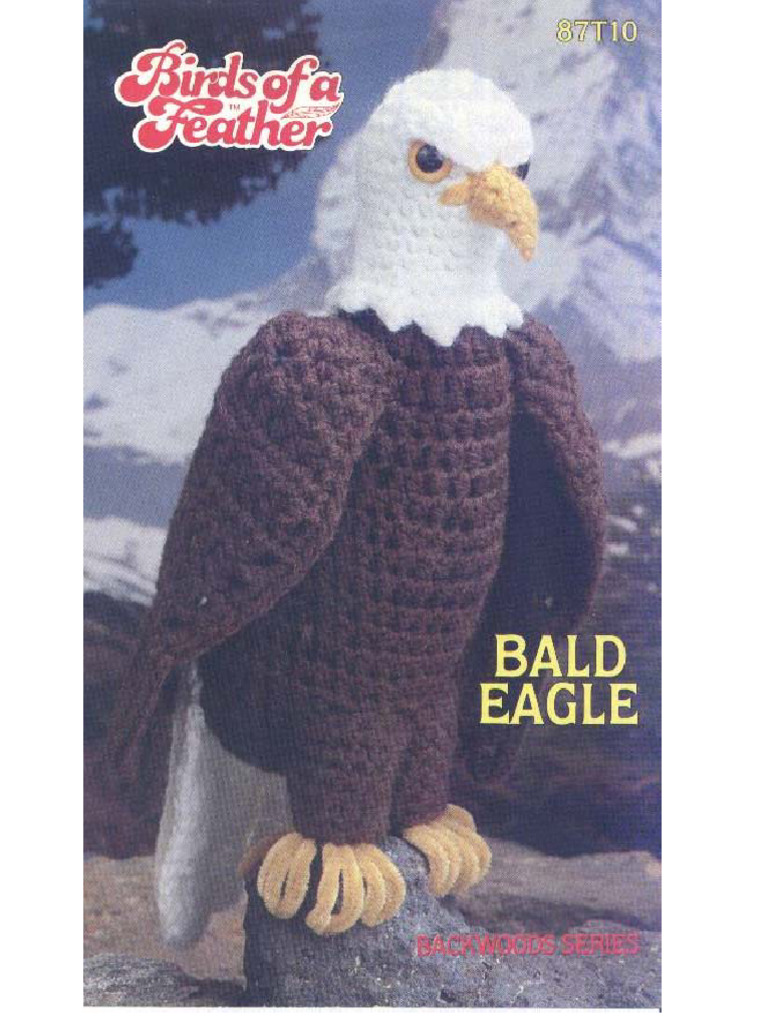 Barbara Anderson-Bald Eagle | PDF