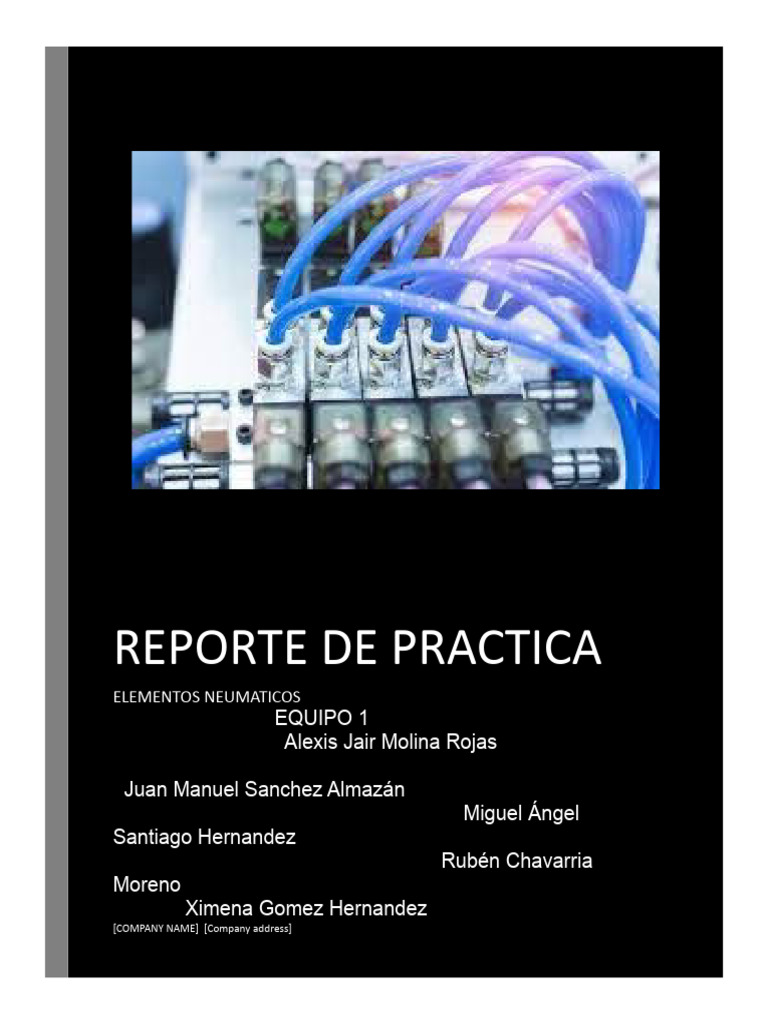 Reporte de Practica | PDF