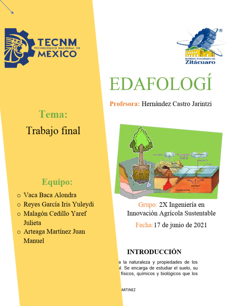 Edafología y Génesis del Suelo | PDF | Roca ígnea | Granito