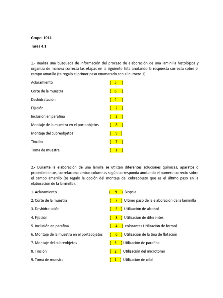 Ejercicio Laminilla | PDF