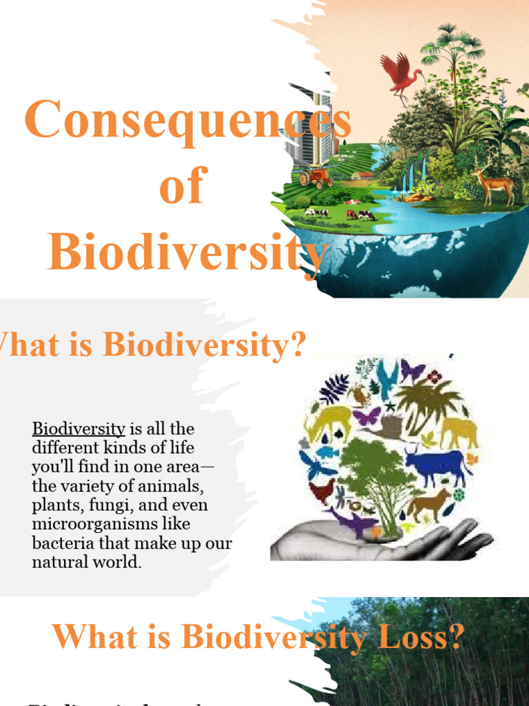 Consequences of Biodiversity Loss | PDF | Biodiversity | Agriculture