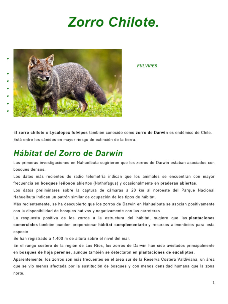 Información sobre el Zorro Chilote | PDF | Ecología