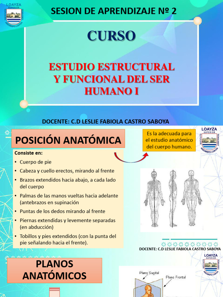 Terminologia Anatomica Descriptiva | PDF | Términos anatómicos de ...