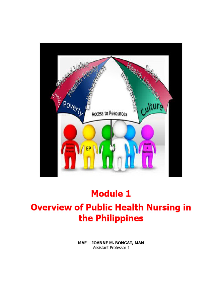 Module 1 Overview of Public Health Nursing in The Philippines | PDF ...