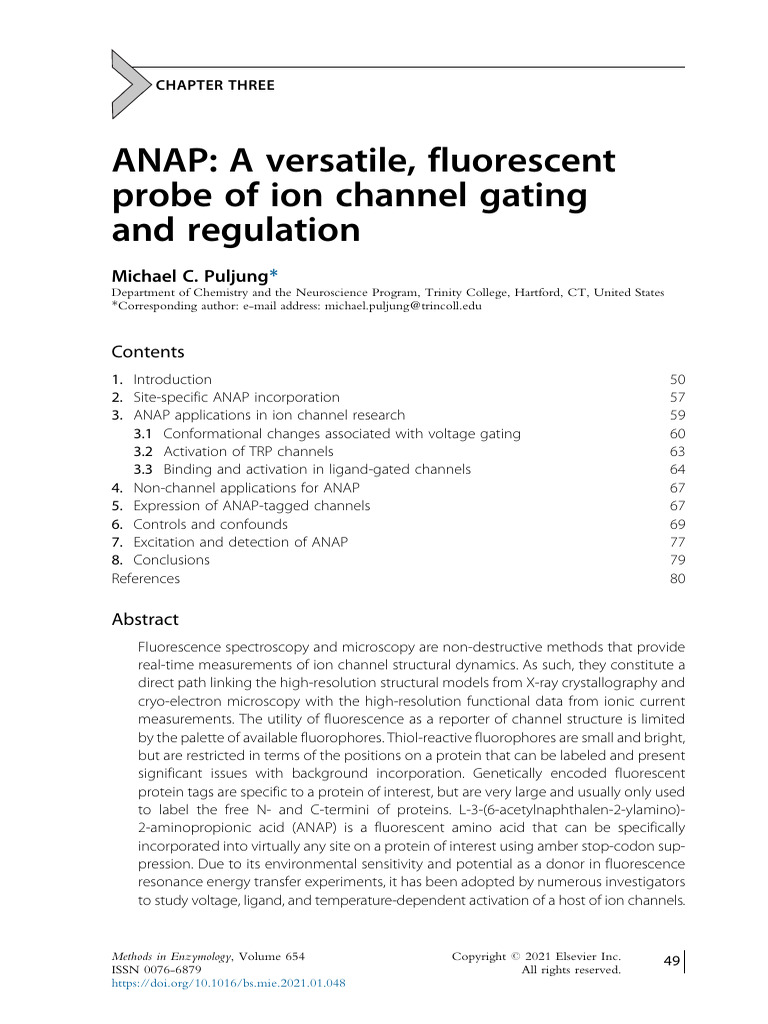 ANAP Review | PDF