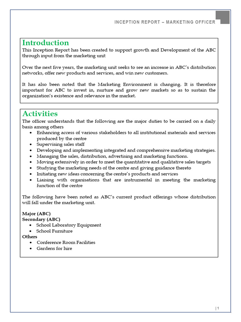 Sample Inception Report Unedited | PDF | Marketing | Sales