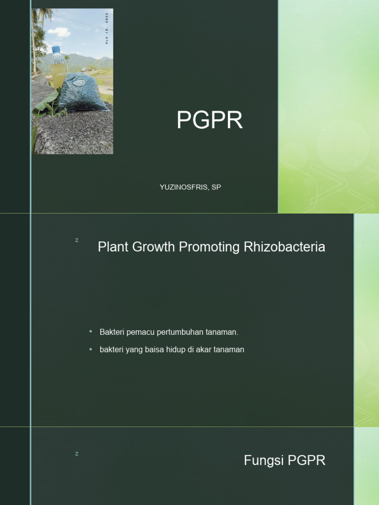 PGPR | PDF