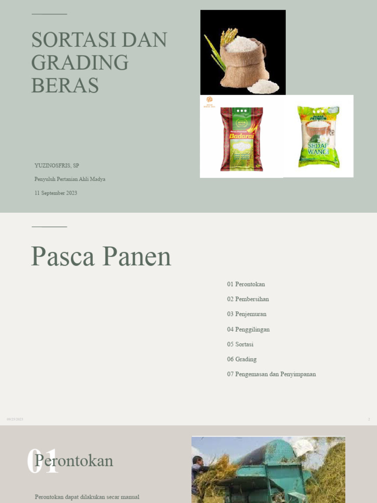 Sortasi Dan Grading Beras | PDF