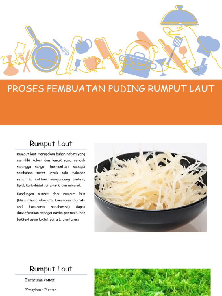 Proses Pembuatan Puding Rumput Laut | PDF