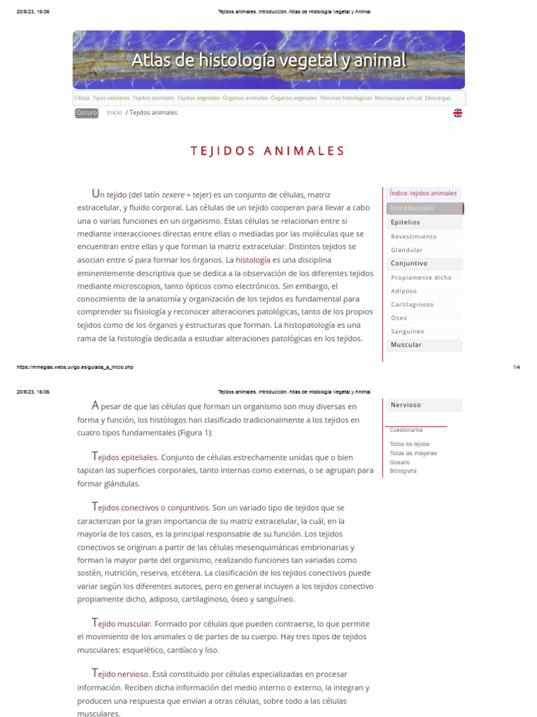 Tejidos Animales. Introducción. Atlas de Histología Vegetal y Animal | PDF | Tejido (biología ...