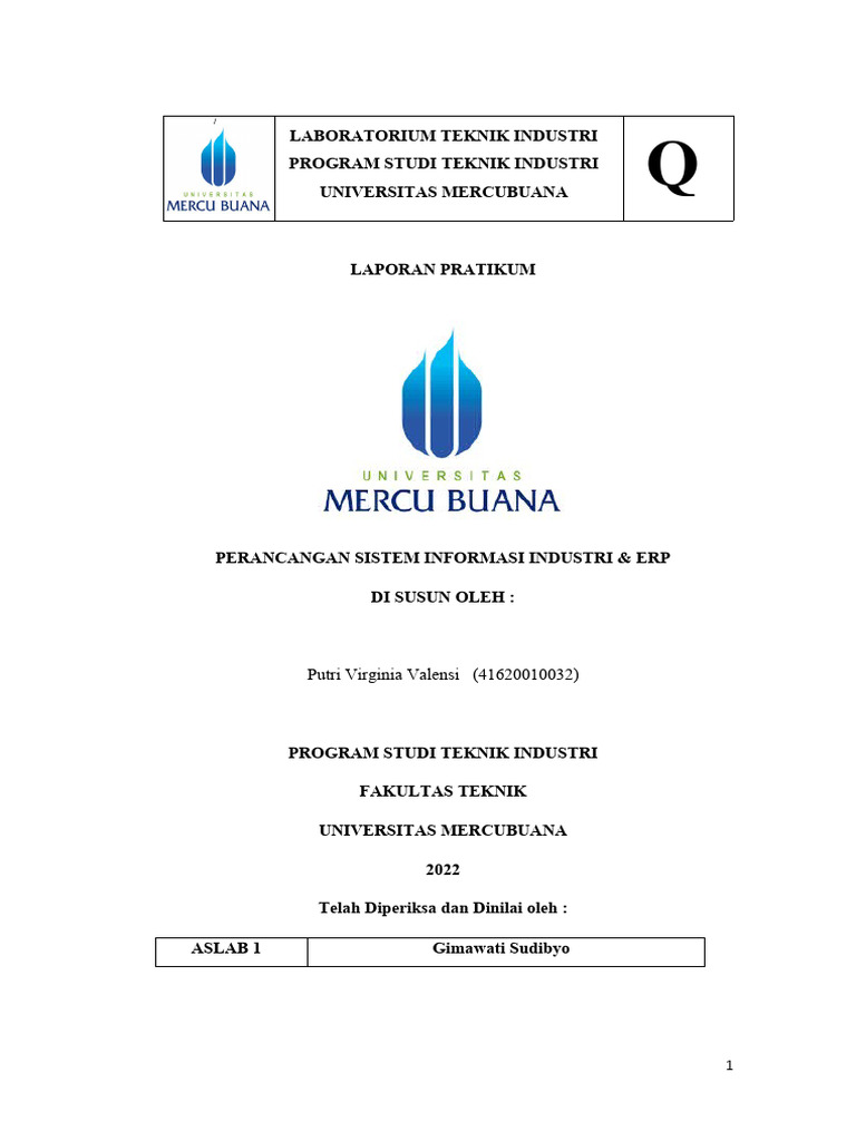 Laporan ERP | PDF | Komputer