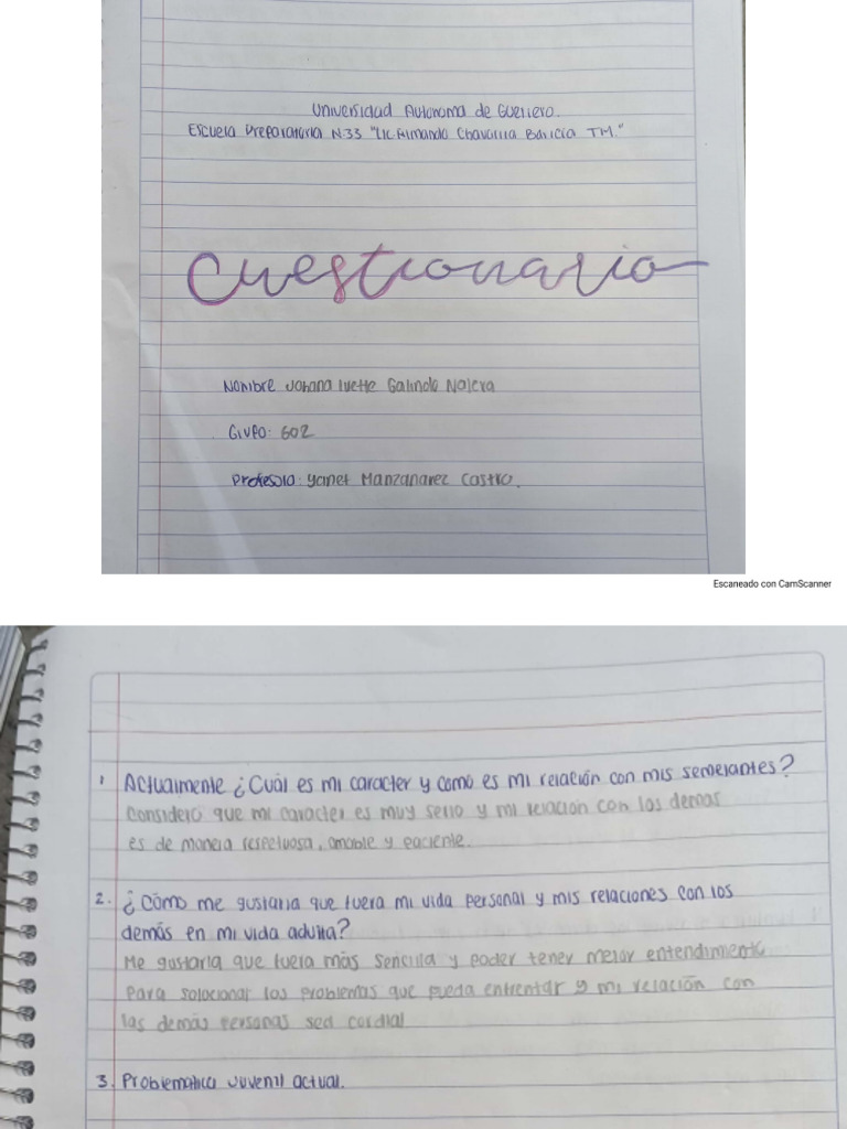 Cuestionario. Ivette 602 | PDF