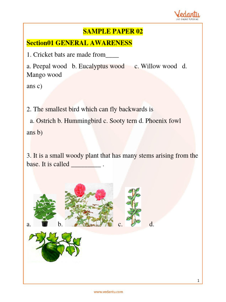 SOF IGKO Class 3 Sample Paper 2 With Solutions For FREE | PDF | Central Processing Unit