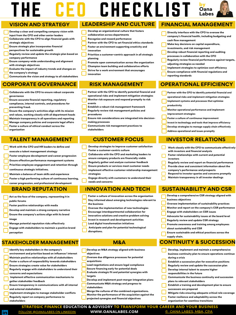 The CEO Checklist - Oana Labes, MBA, CPA | PDF | Corporate Social ...