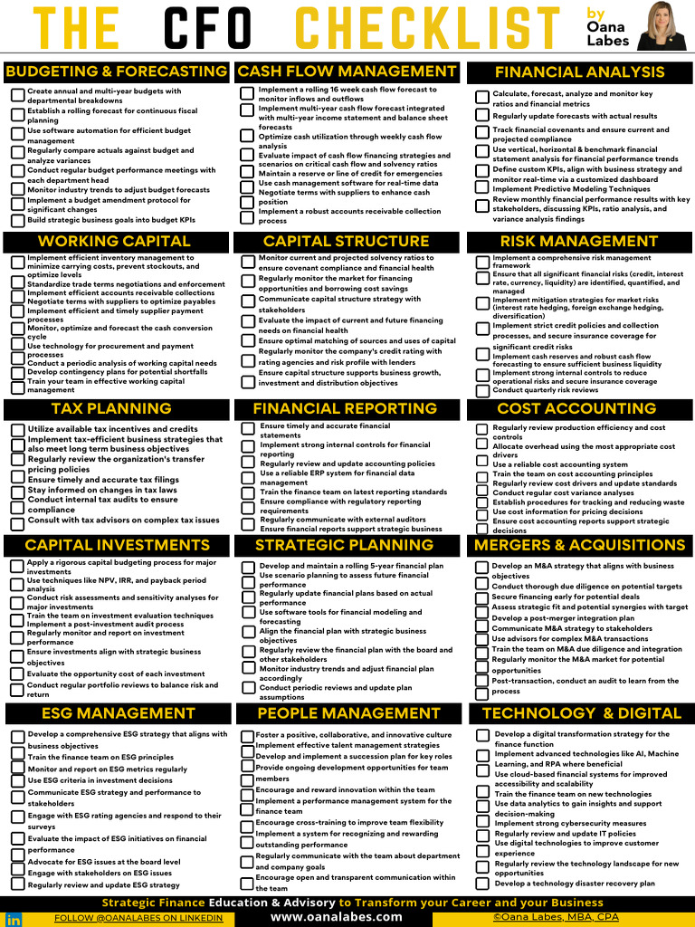 The CFO Checklist - Oana Labes, MBA, CPA | PDF