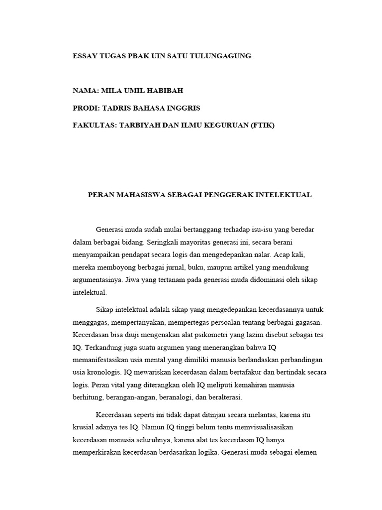 Essay Tugas Pbak Uin Satu Tulungagung | PDF