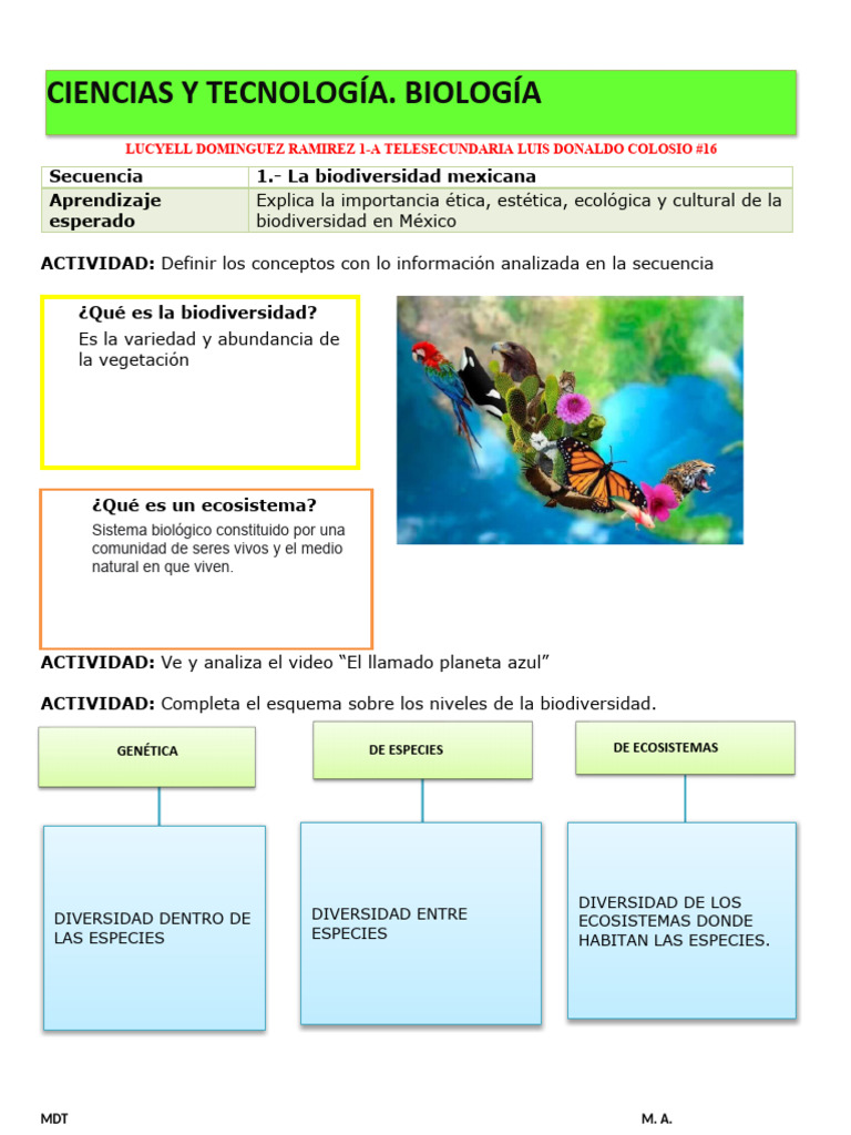 Cuadernillo de Ciencias y Tecnologia | PDF