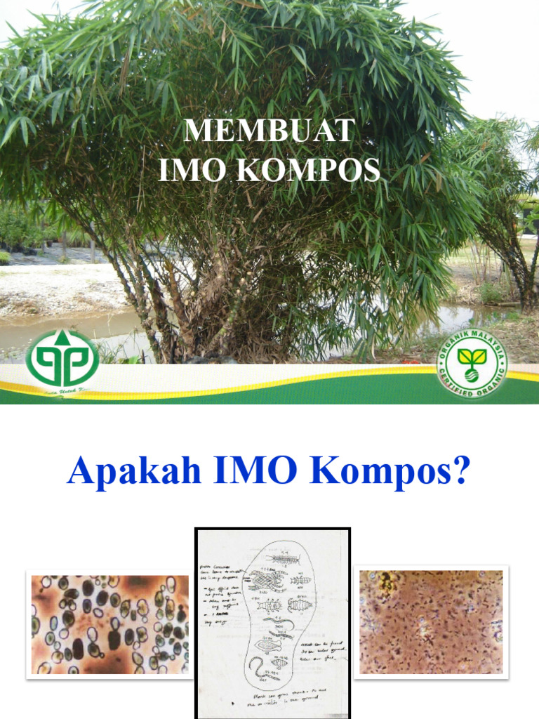 Membuat Kompos + IMO | PDF