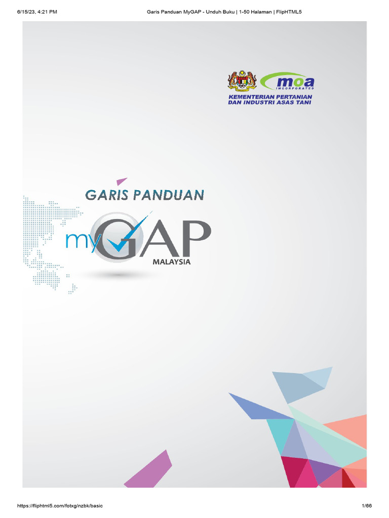 MyGAP Guidelines Download PDF | PDF