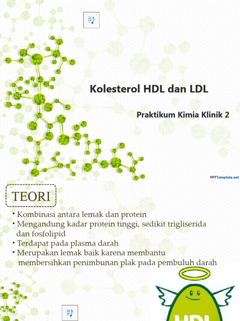 Kolesterol HDL Dan LDL | PDF