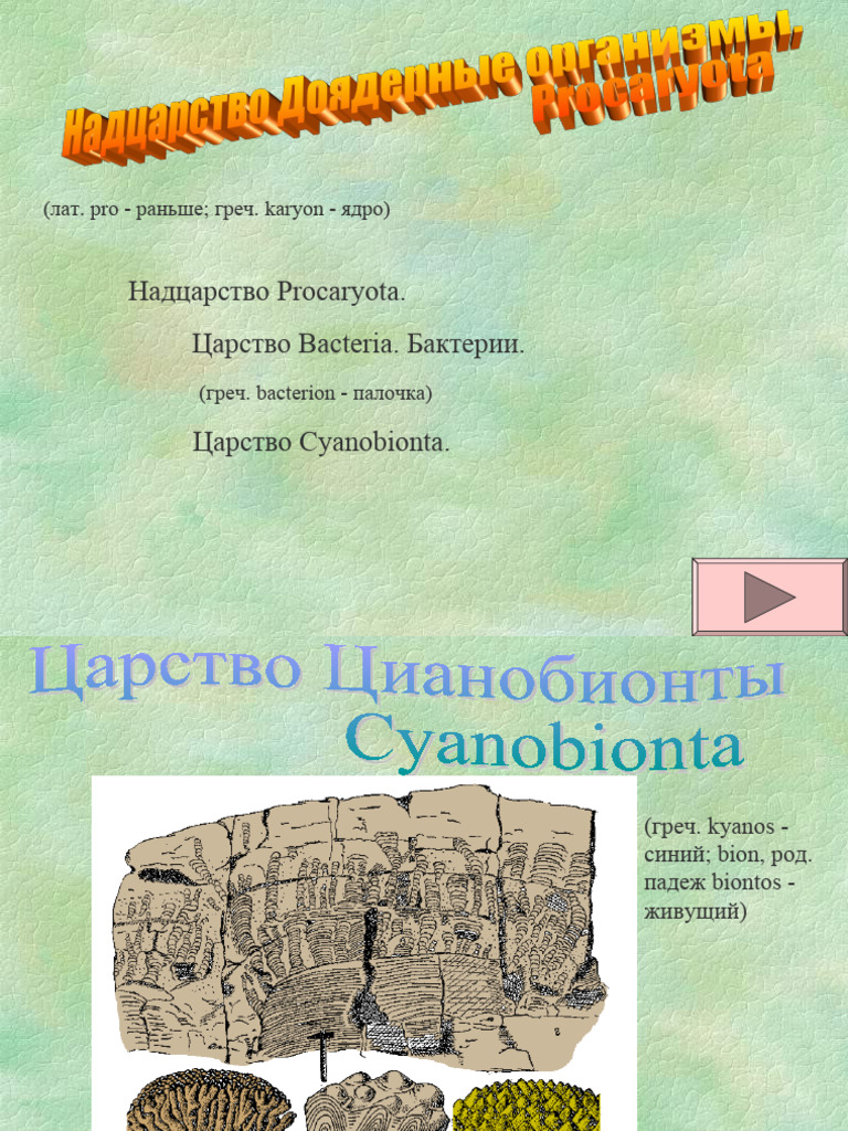 Фитология | PDF