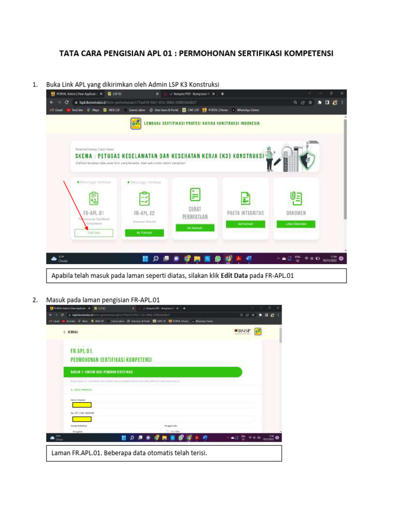 Tata Cara Pengisian Apl 01 Dan 02 | PDF