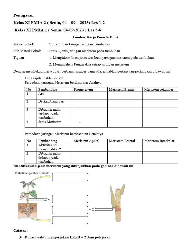 LKPD Jaringan Tumbuhan Kelas XI PMIA | PDF