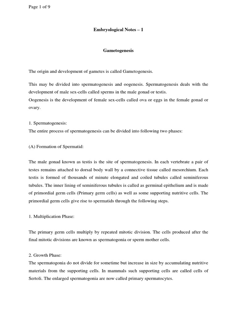 Econtent PDF EmbryologyGametogenesis | PDF | Testicle | Sperm