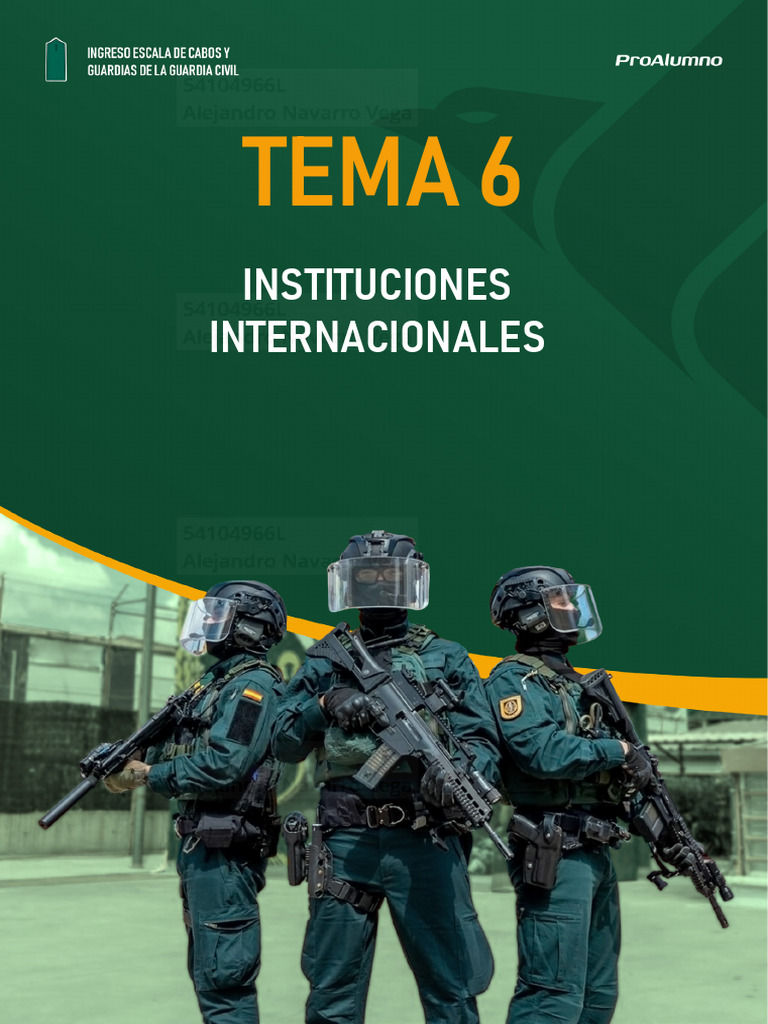 Tema 6: Instituciones Internacionales | PDF