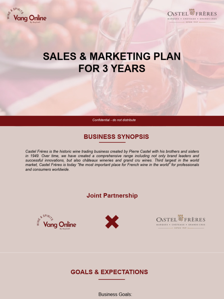 Sales & Marketing Plan - For Reference Only | PDF