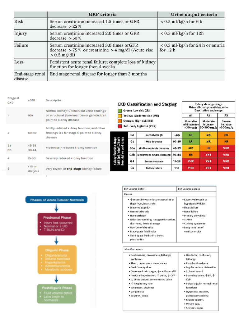 Exam Diagrams | PDF