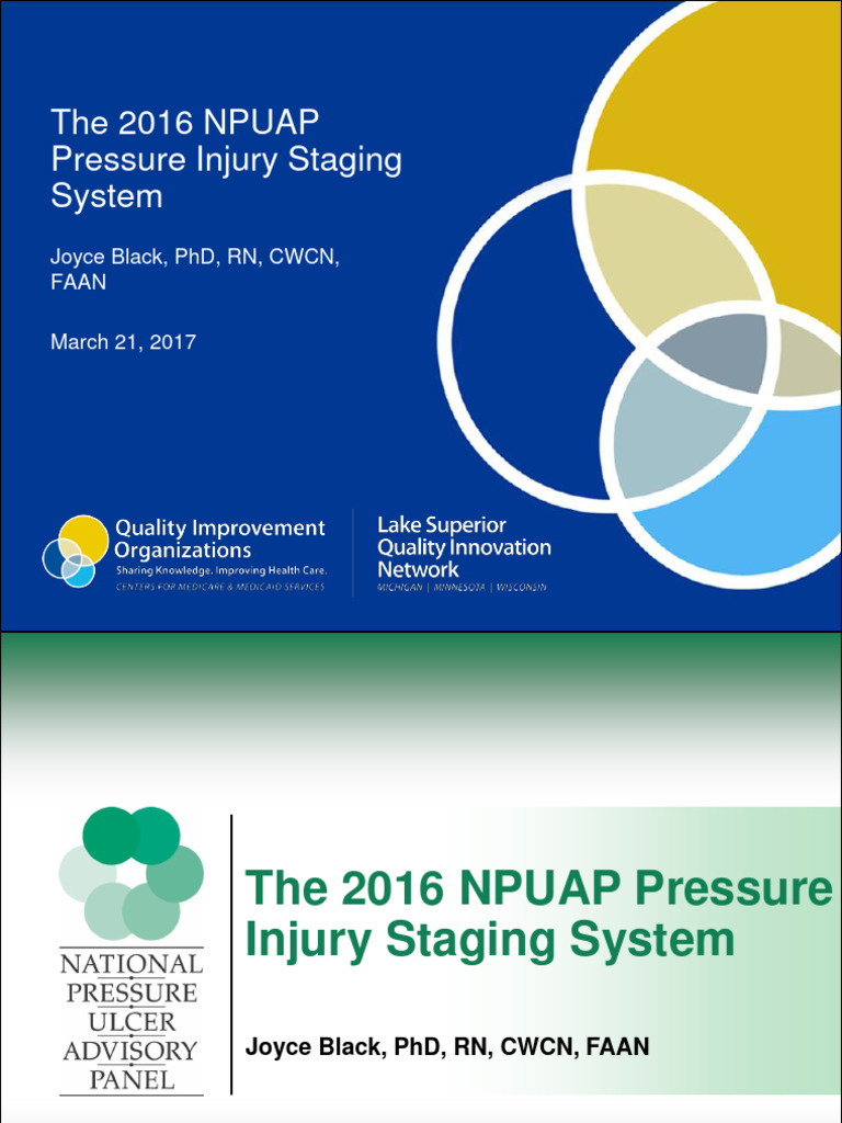 2016 NPUAP Pressure Injury Staging Guide | PDF | Injury | Skin