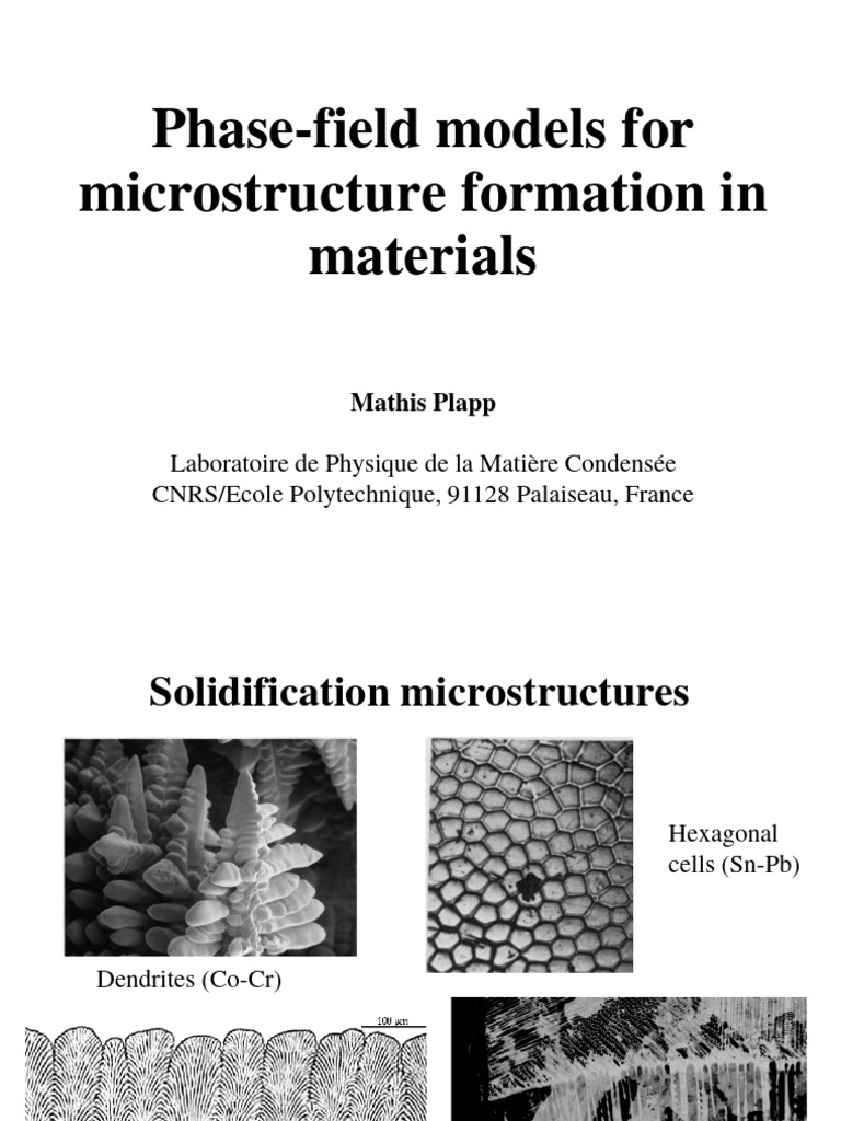 Phase-Field Models For The Evolution of Complex Systems | PDF ...