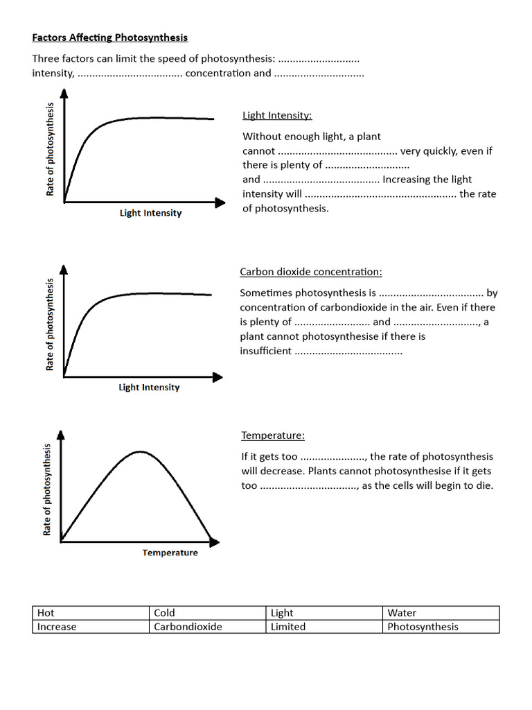 Factors Affecting Photosynthesis | PDF
