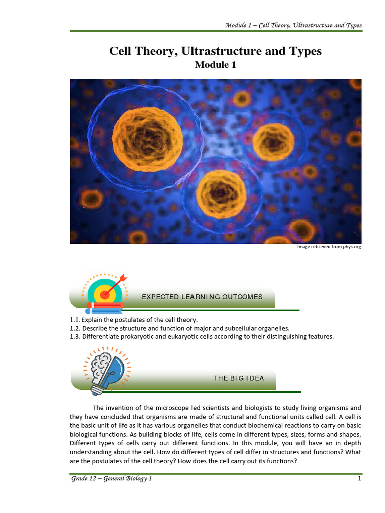 1.1 Cells (Theory, Types and Ultrastructure) | Download Free PDF | Cell ...
