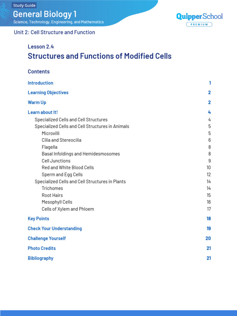 Bio1 11 - 12 Q1 0204 FD | PDF | Granulocyte | Leaf