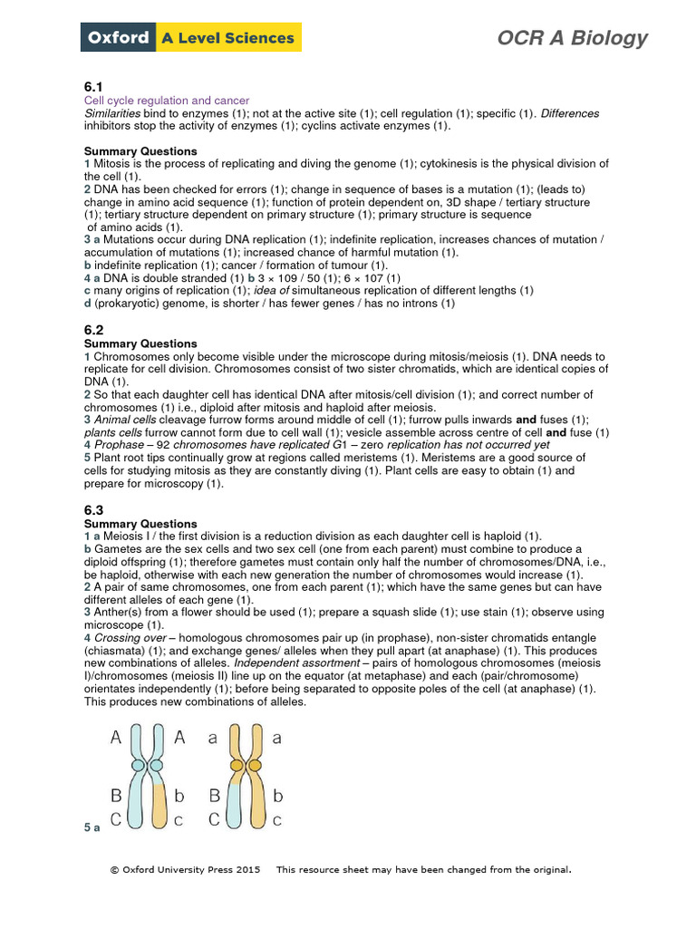 Chapter 6 Answers | PDF