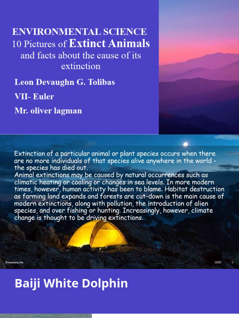 Extinct Animals | PDF | Extinction | Rhinoceros