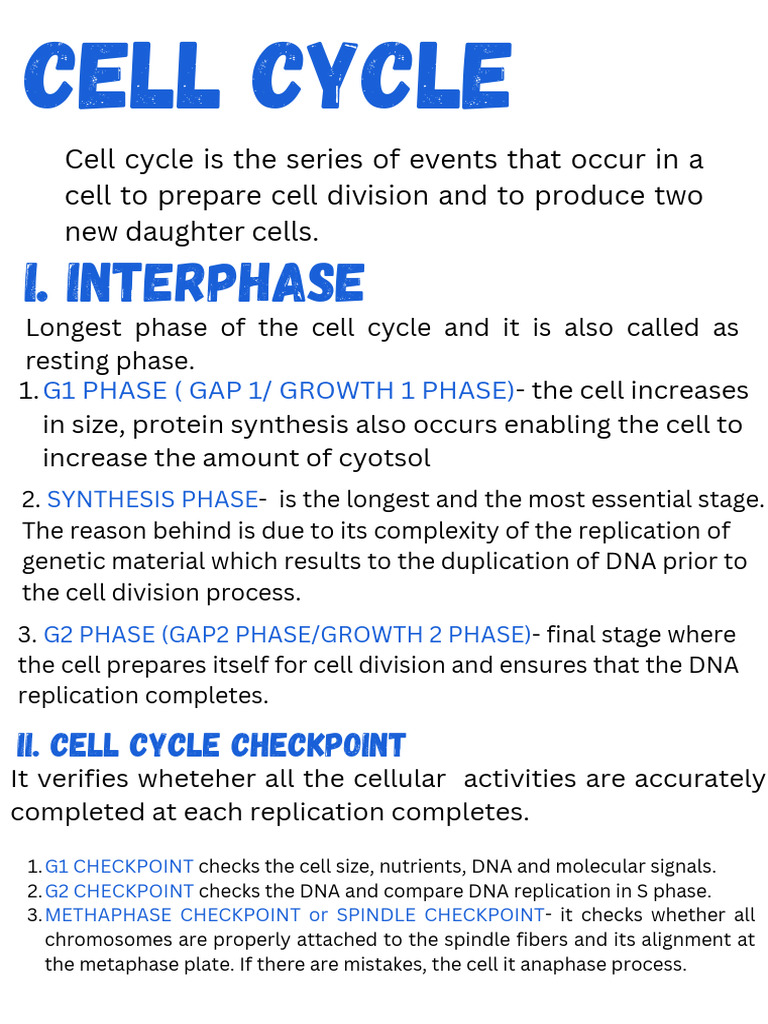 General Biology Lesson 6 Cell Cycle | PDF
