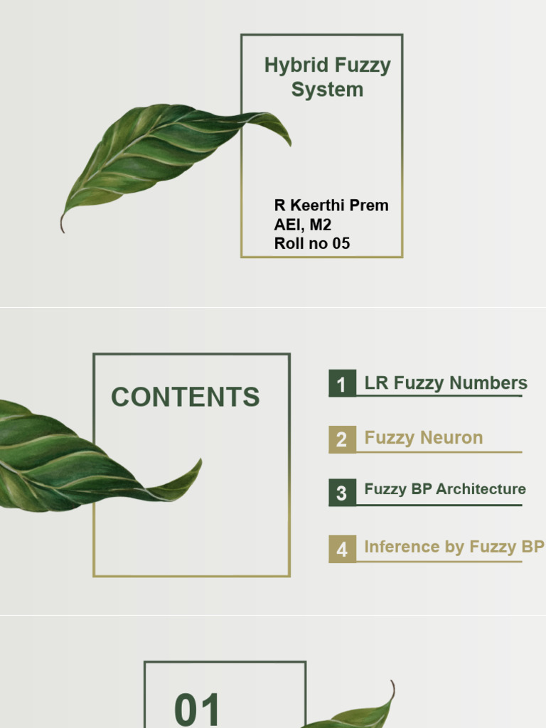 Fuzzy | PDF | Neuroscience | Applied Mathematics