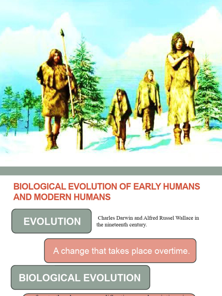 Biological and Cultural Evolution | PDF | Homo | Human Evolution