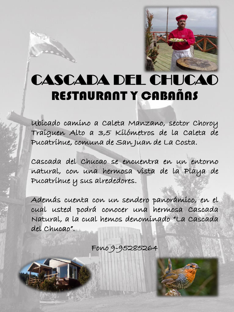 Carta Cascada Del Chucao Qr Pdf Alimentos Cocina