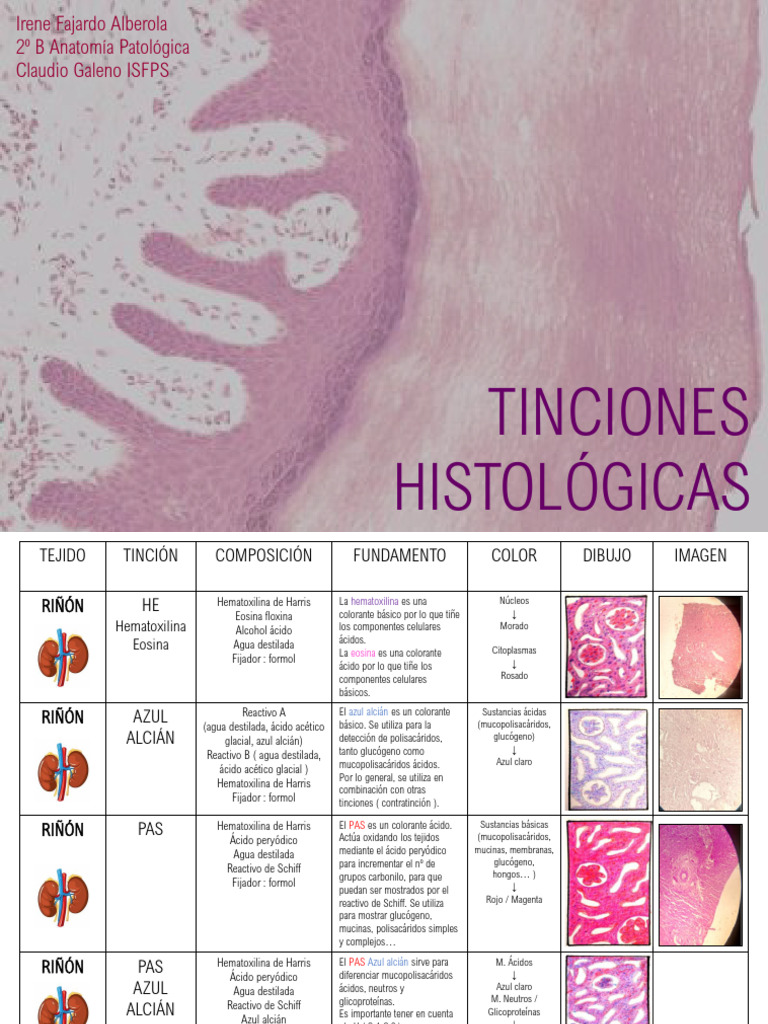Cuadro de Tinciones Histología | PDF