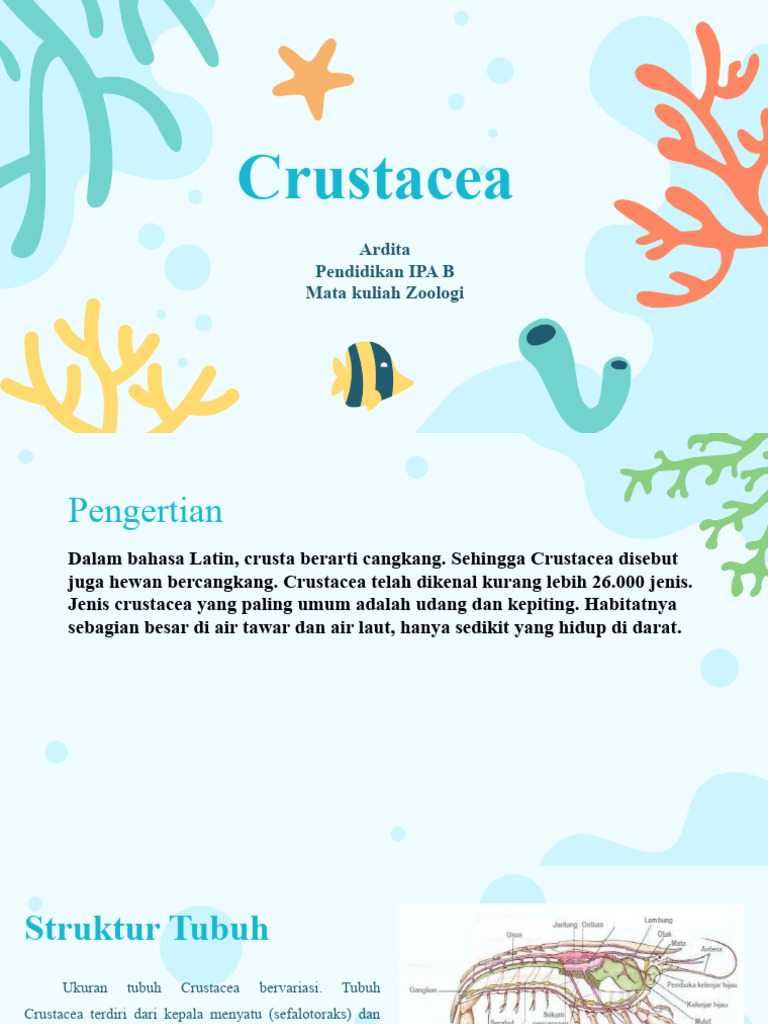 Crustacea | PDF