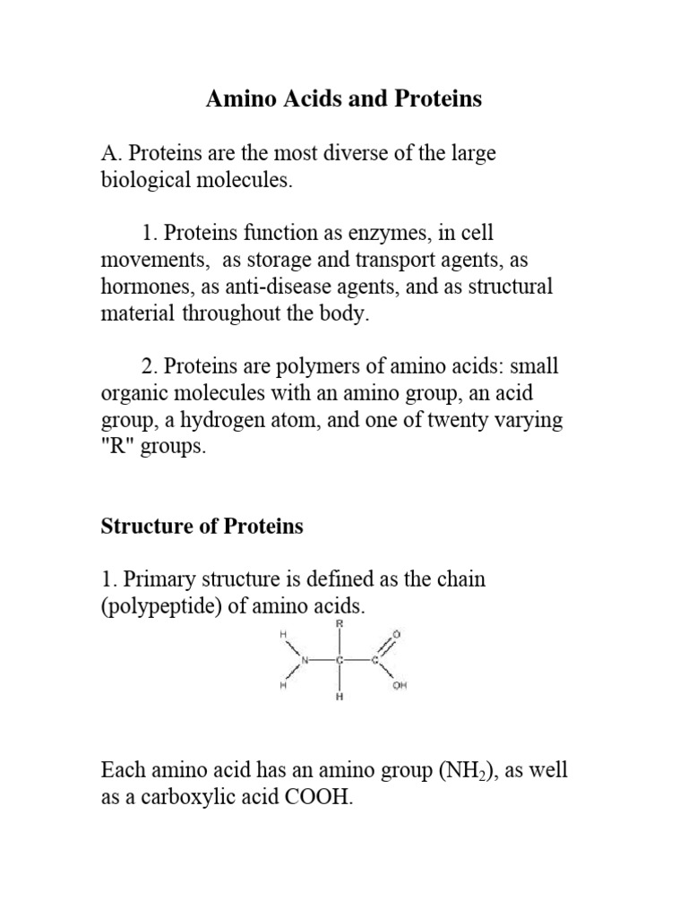 Proteins Lesson Plan | PDF