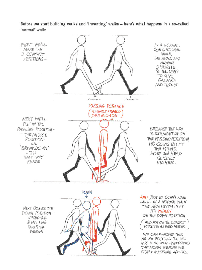 Walk Cycle Worksheets | PDF