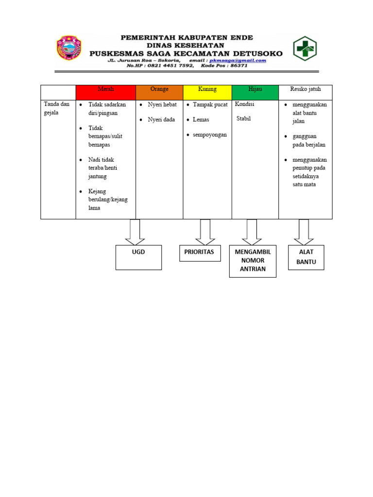 Triase Visual untuk Kasus Kecelakaan | PDF