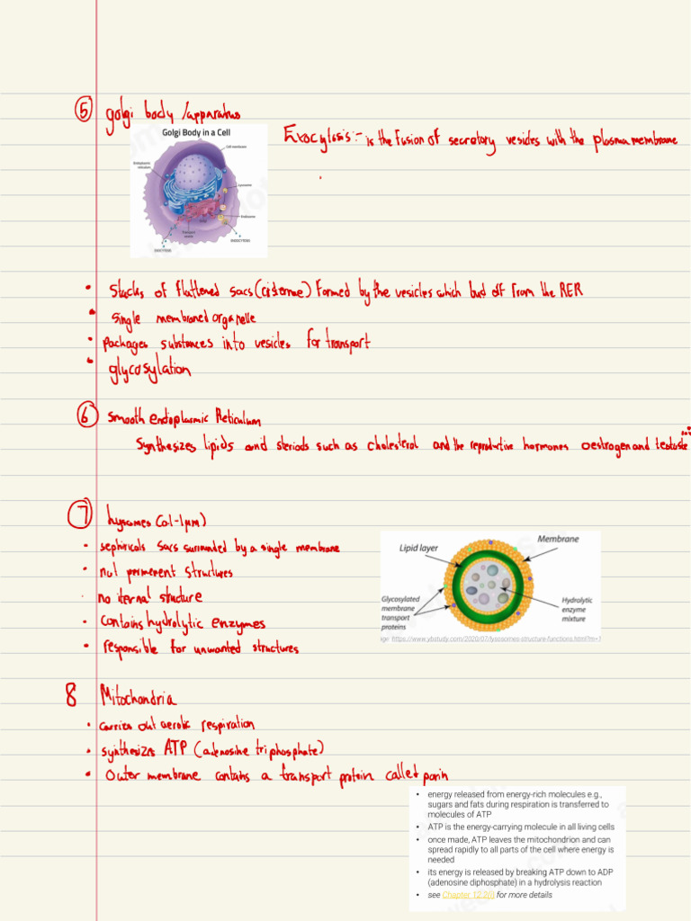 IGCSE Topical Past Papers Biology P4 C1 - C7 | PDF