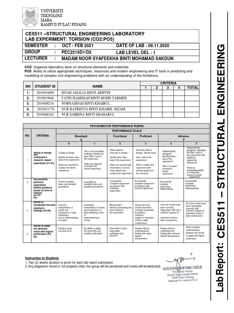 Lab Report Torsion | PDF | Torque | Deformation (Engineering)